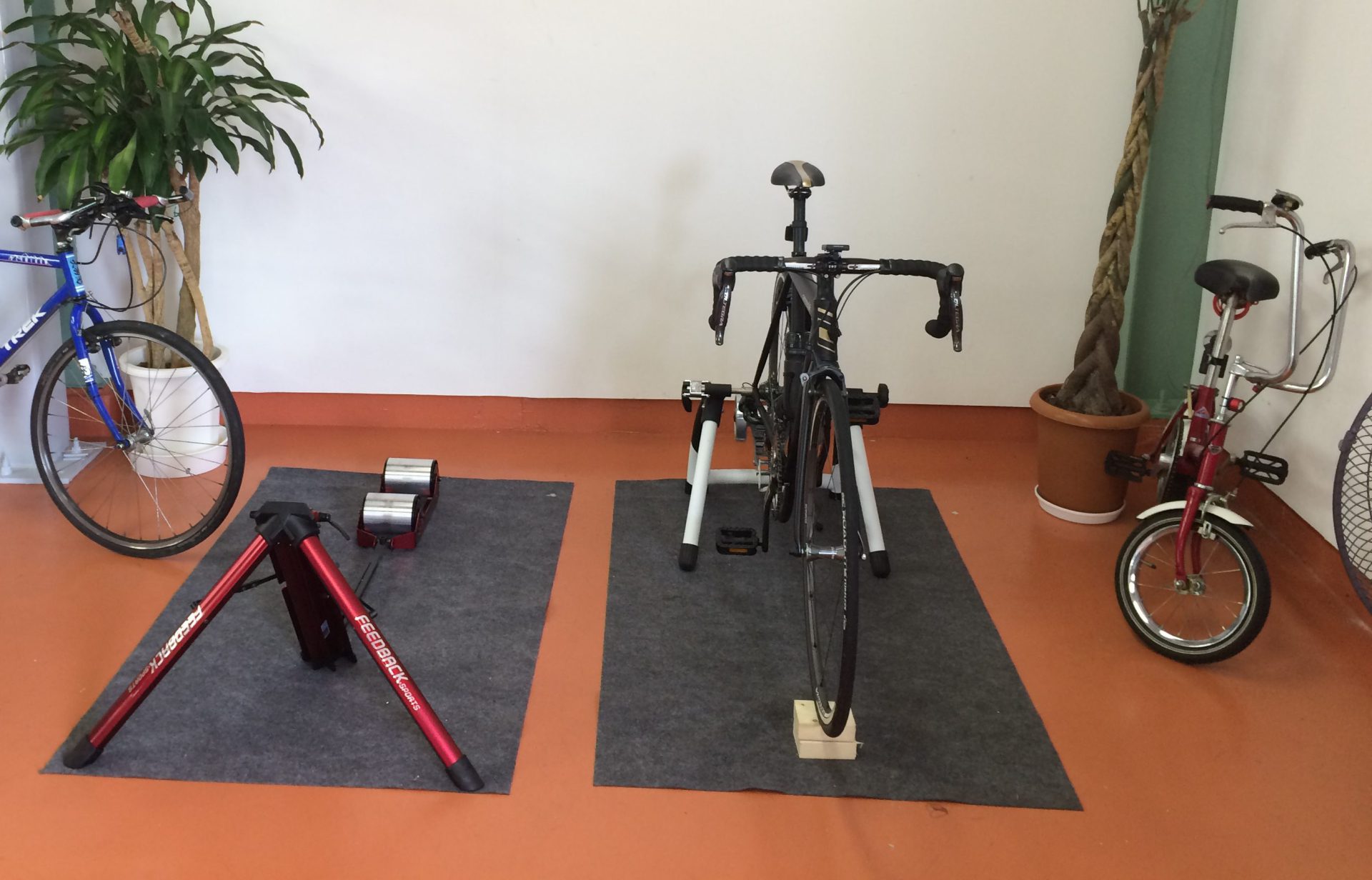 店舗紹介 | MORE CREST